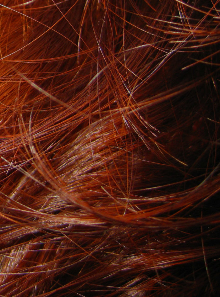 Deep Copper Red Herbal Hair Colour - The Henna Tree