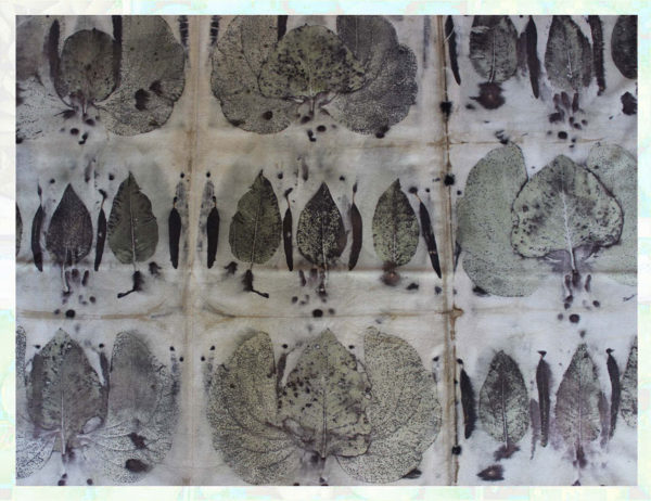 Home - The Henna Tree